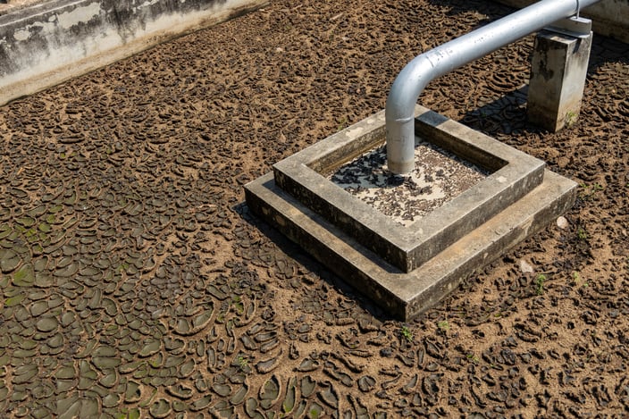 Secado de lodos: qué otras tecnologías de deshidratación existen - Segunda parte